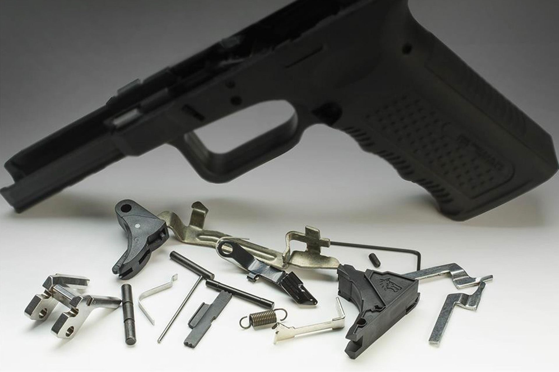 Lone Wolf Arms Full Size Timberwolf Frame Completion Kit - Dirty Bird ...