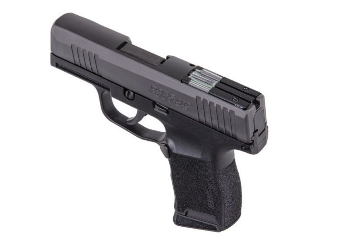 Sig Sauer P365 Review - Why the Dirty Bird Team Recommends in 2025 ...