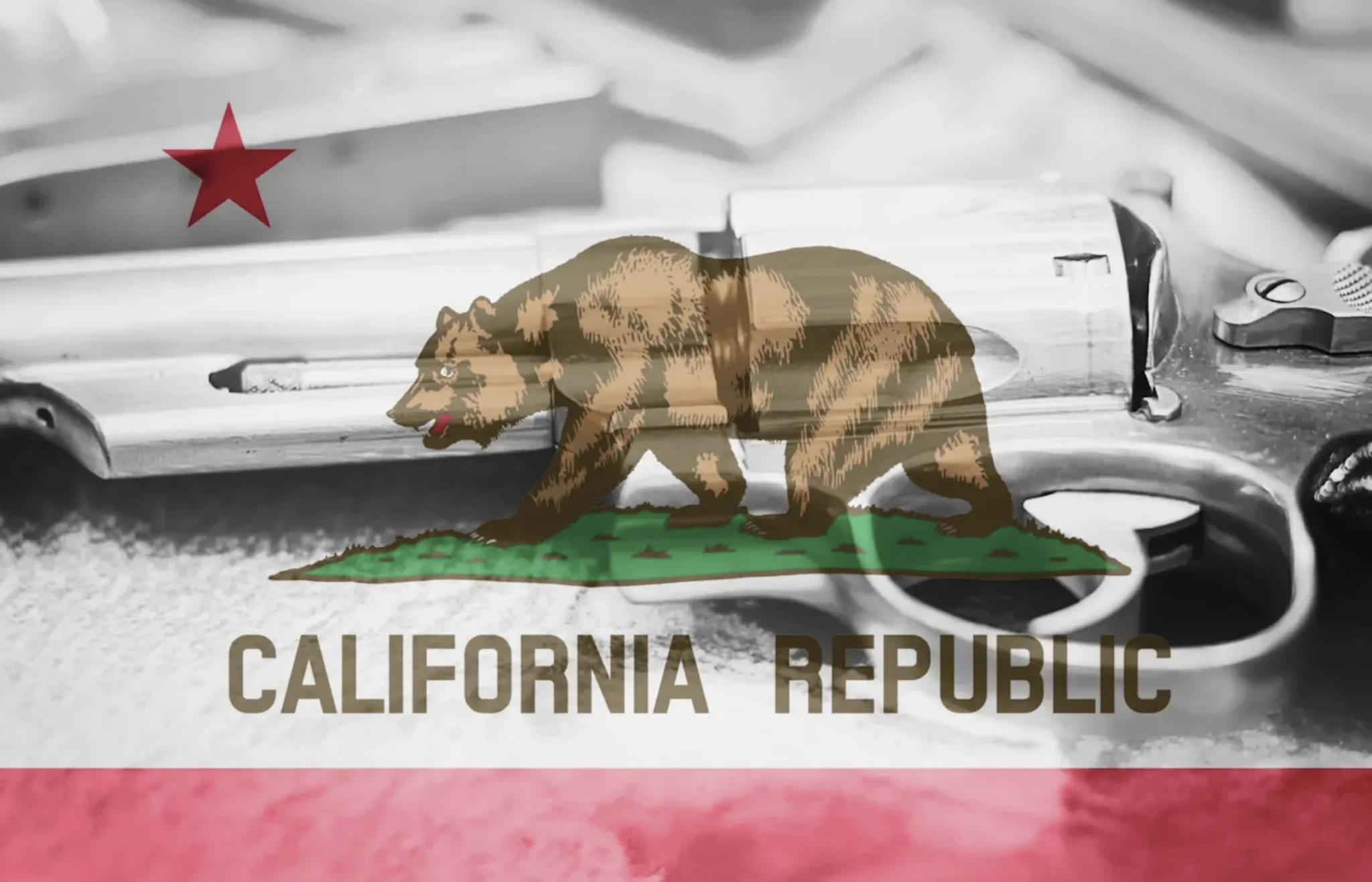 California Roster Guns FAQ - Dirty Bird Industries