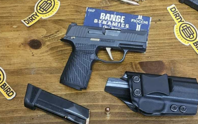 Top 12 CA Legal Guns in 2025 - Dirty Bird Industries